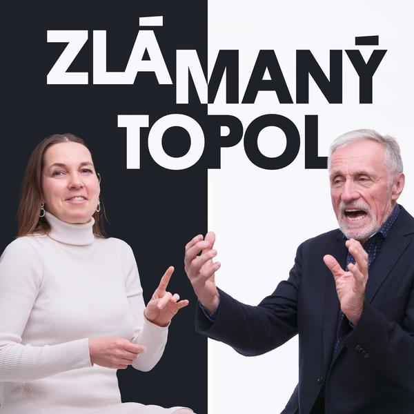 Zdroje tu jsou. Investice do obrany nemusí jít jen na dluh - Zlámaný ...